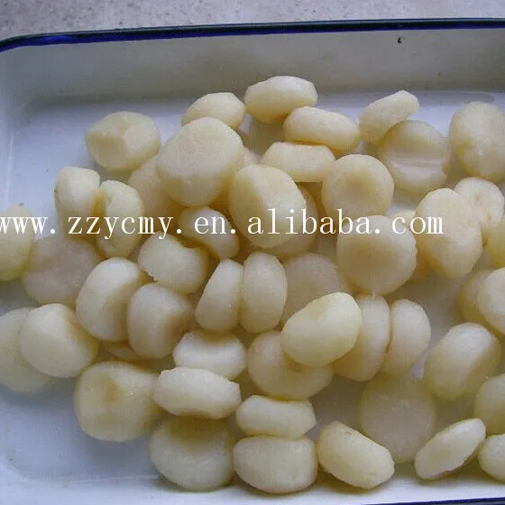 Fresh Food Vegetable Chestnut Distributor Canned Water Chestnut In Tin ...