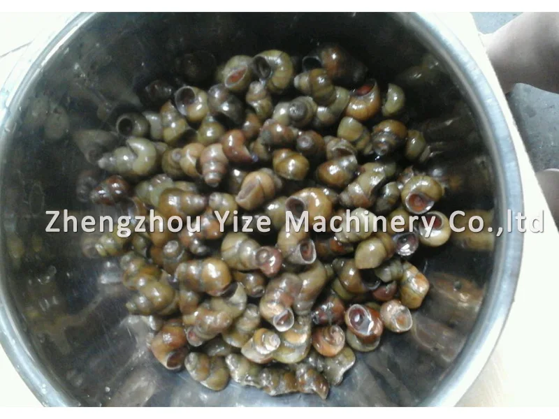 Snail Tail Cutting Machine - Efficient & Durable Solutions