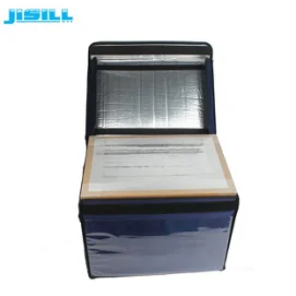 Portable Insulated Ice Cooler Box with Ice Packs, 120H Capacity, OEM