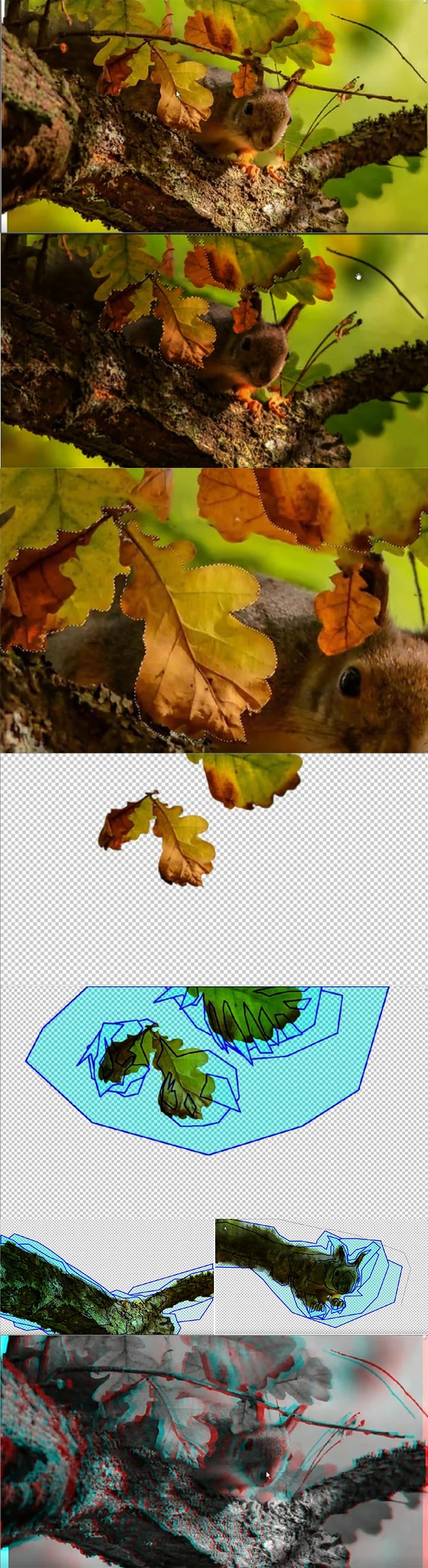 Provide Complete 3d Lenticular Software And Training Course Promising ...