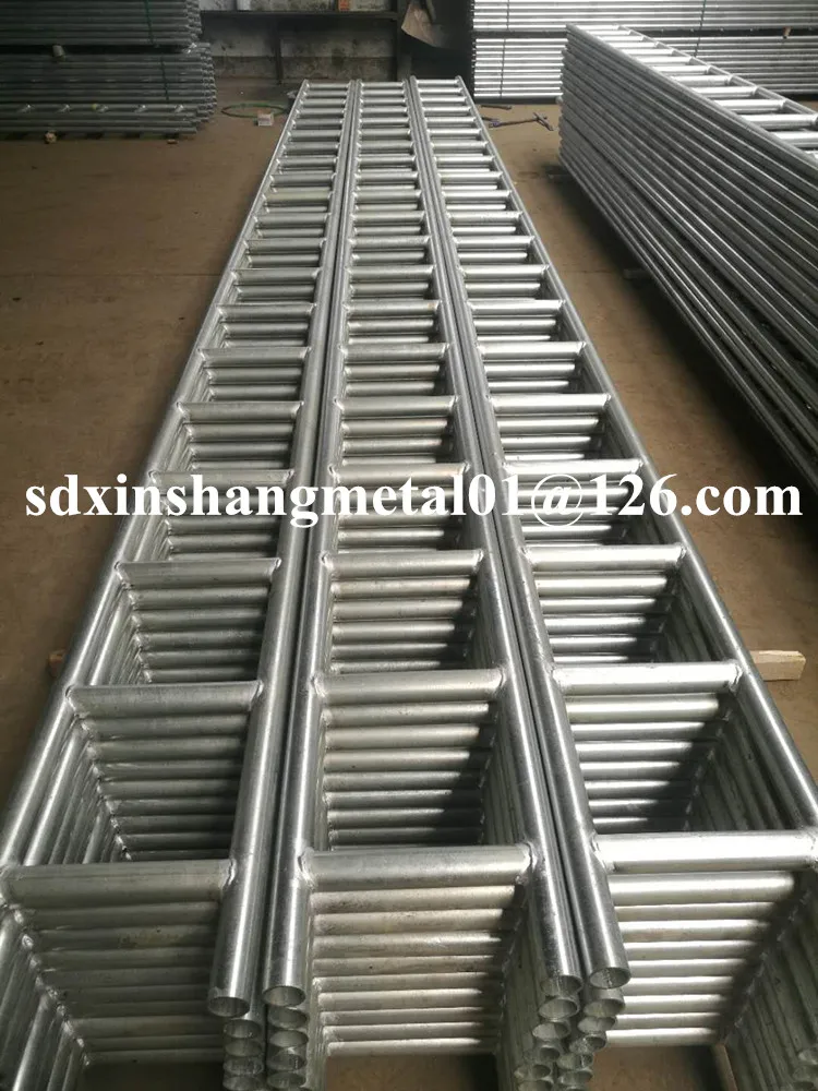 6m Galvanized Scaffold Ladder Beam - Durable & Versatile