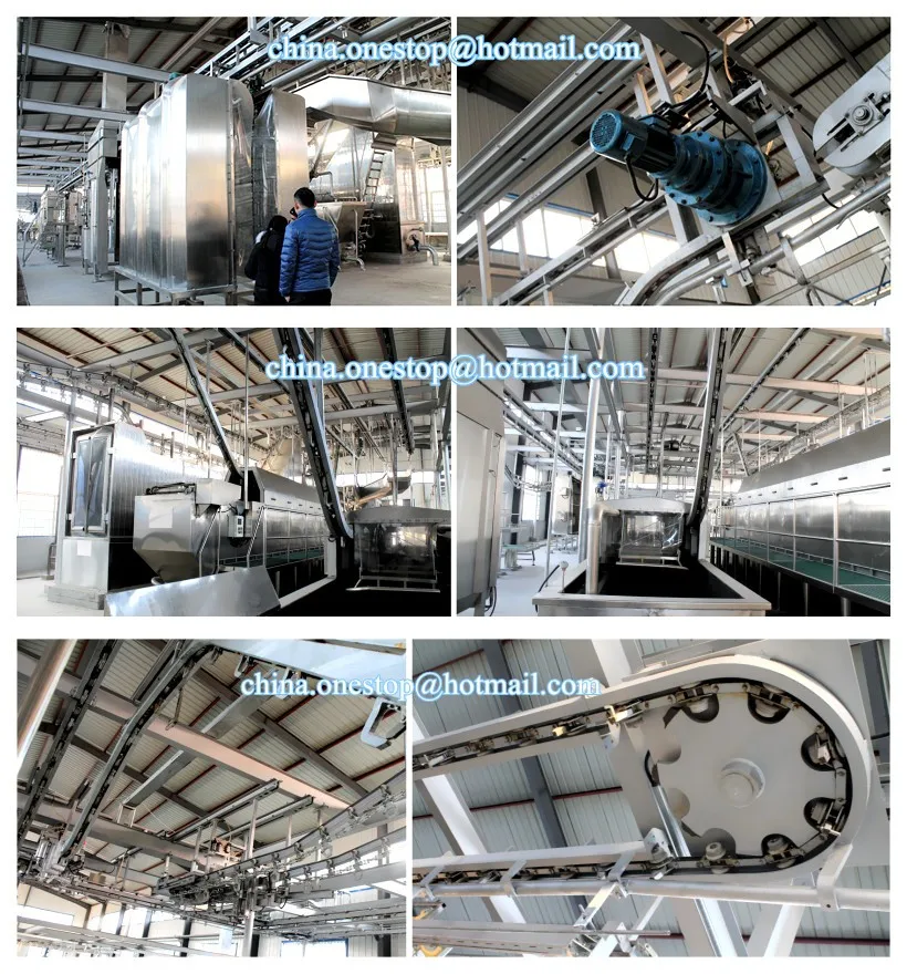 Pig Slaughter Equipment Line/pork Processing Abattoir Machinery - Buy ...