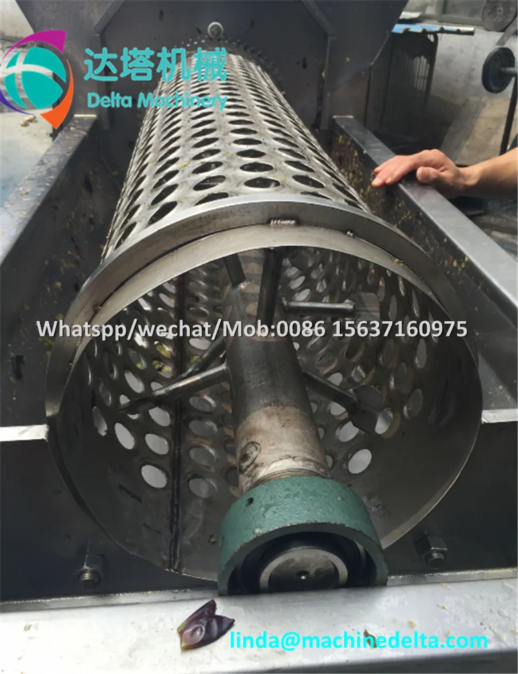 Grape Crushing Machine With Grape Stem Removing Machine Stainless Steel ...