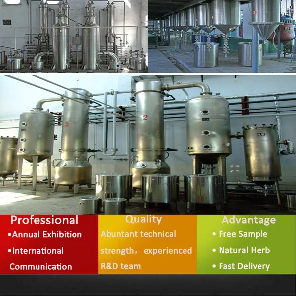 High Quality Cinnamon Powder - Solvent Extraction 10%-50%