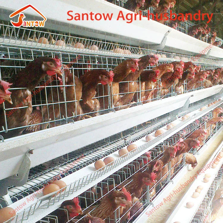 A Frame Chicken Layer Cages 3 Tiers Battery Cage Automatic Egg Poultry ...