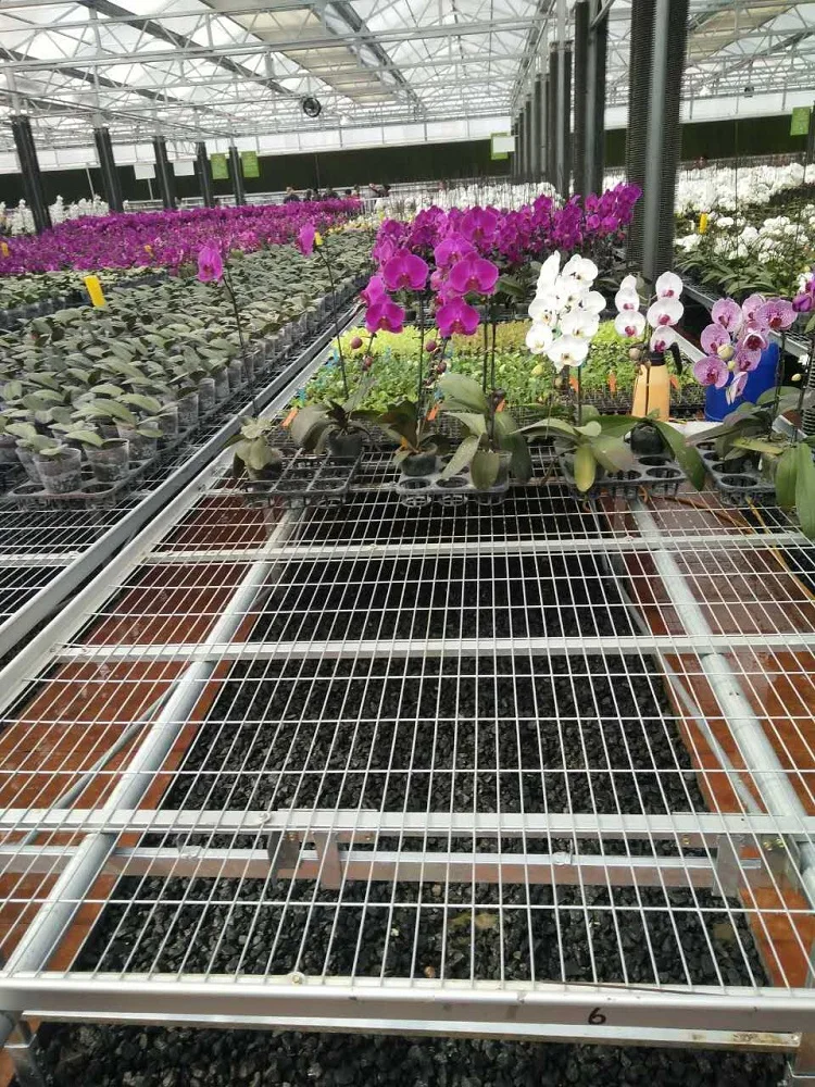 Commercial Stationary Greenhouse Seed Bed Benches - Buy Fixed Top ...