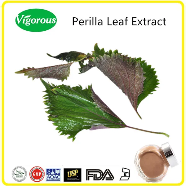 Free Sample Perilla Leaf Extract/pure Perilla Leaf P.e./best Price ...