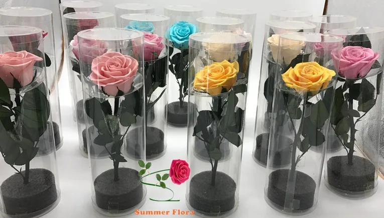 Wholesale Preserved Flower Real Stabilized Roses Beautiful Preserved ...