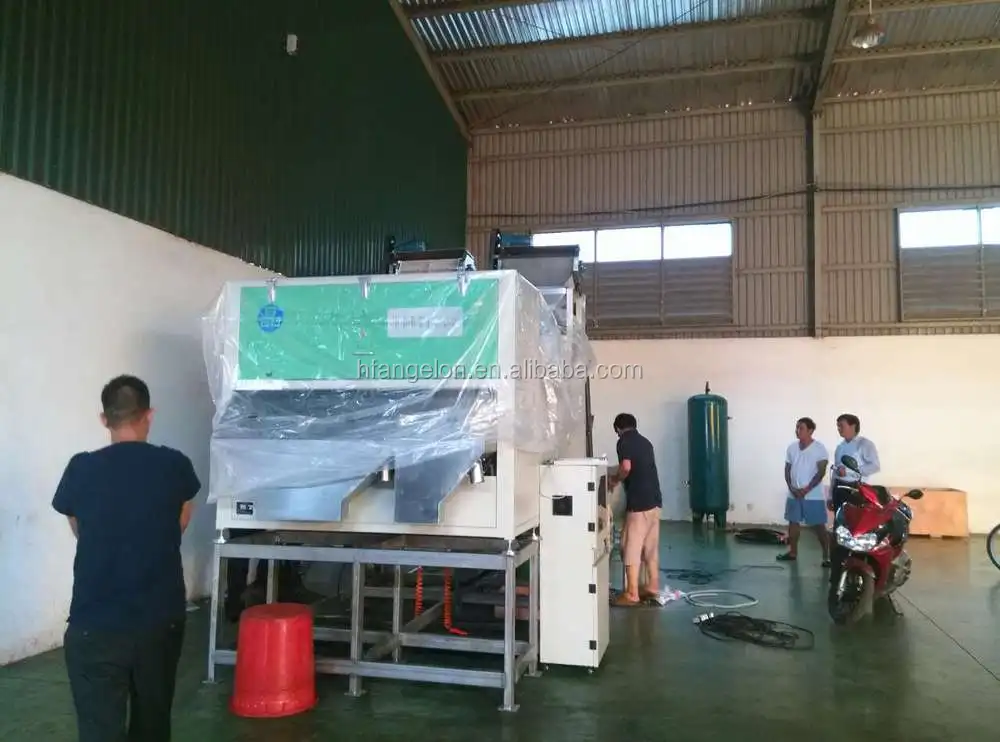 ANGELON Optical Color Sorter For Nut Cashews Pistachio Pinenuts Color ...