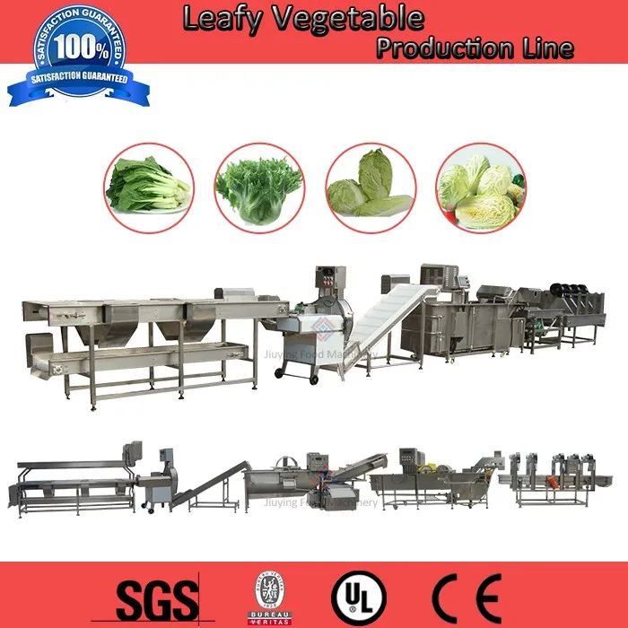 Guangzhou Pickled Cucumber Processing Line/machinery Vegetable Cleaning ...
