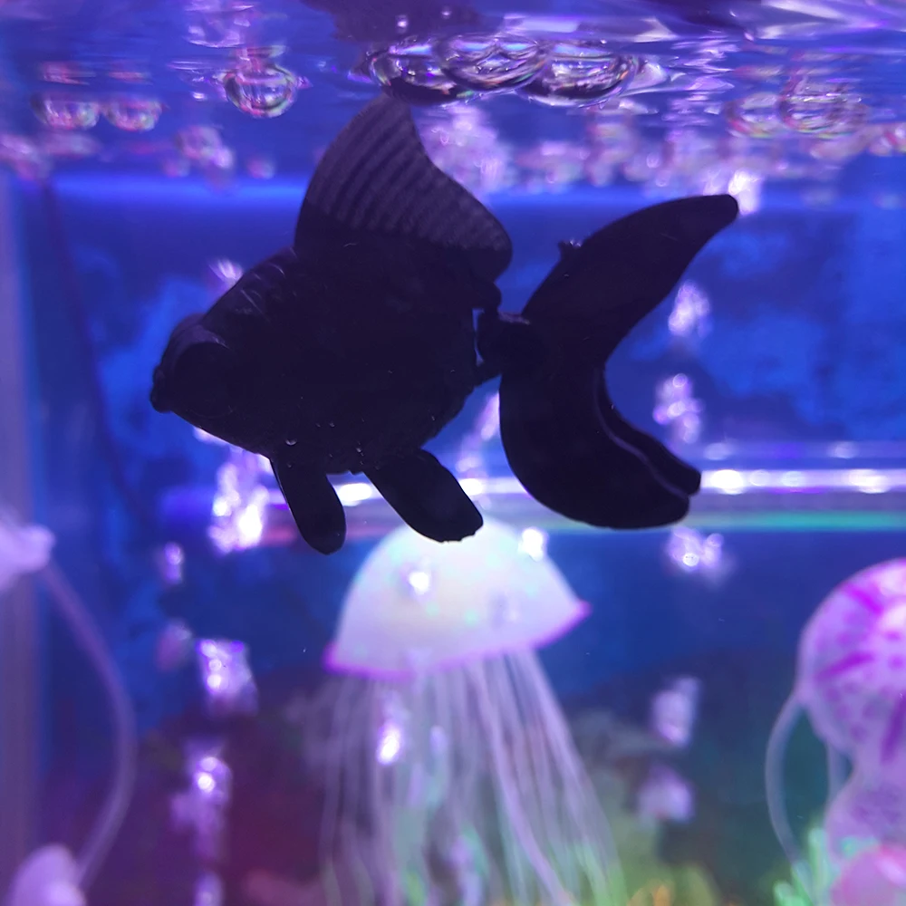 Floating Realistic Plastic Fish Toy - Small Size Fake Fishes