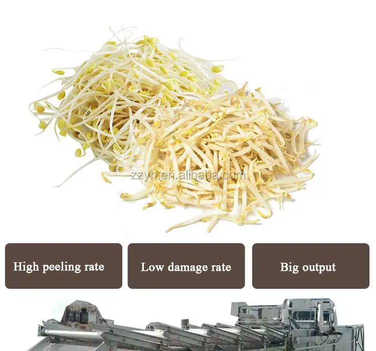 Automatic Bean Sprout Washing/ Cleaning Machine/ Peeling Machine - Buy ...