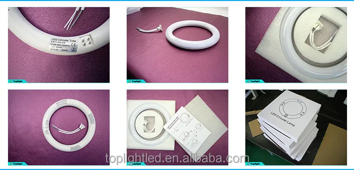 Hot Selling 12w G10q Led Circular Tube Light Led Circular Fluorescent ...