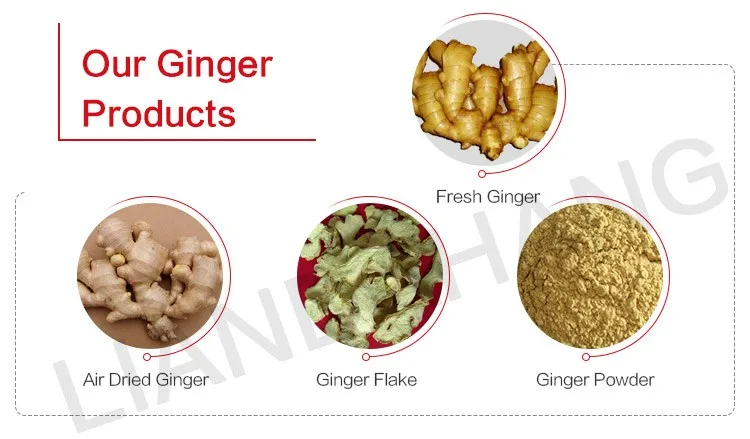 Export To Buyer Dried Ginger Flour,Dried Ginger Powder Price,Ginger ...