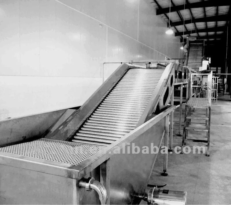 Fruit Sorter Fruit And Vegetable Classifier Rolling Rail Sorting ...