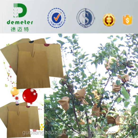 Made In China Insect Prevention Kraft Paper Fruit Harvest Bags For ...