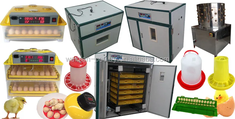 Automatic Egg Hatching Machine / Chick Hatching Machine / Quail Egg ...