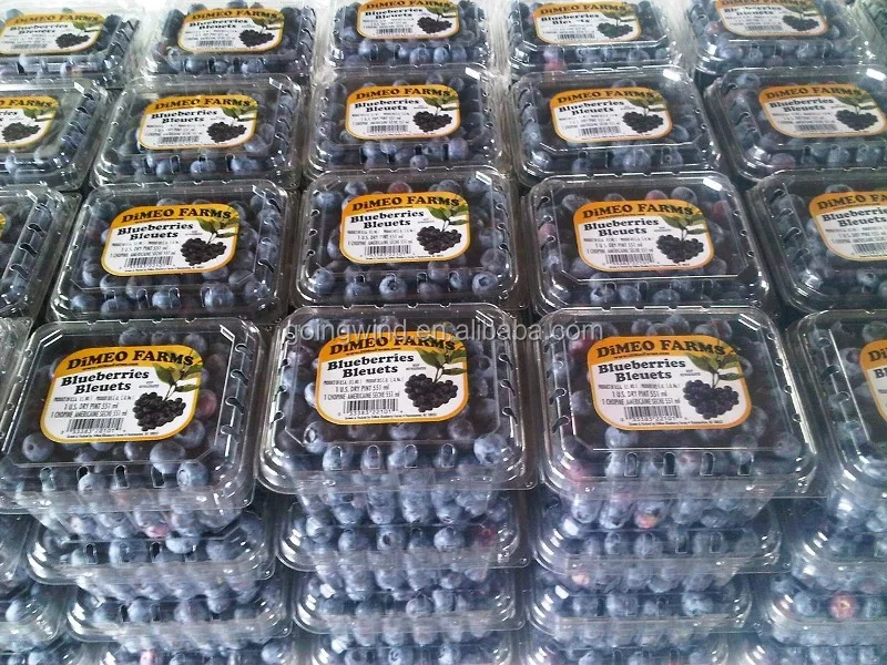 Automatic Commercial Blueberry Size Grading Sorting Machine Industrial ...