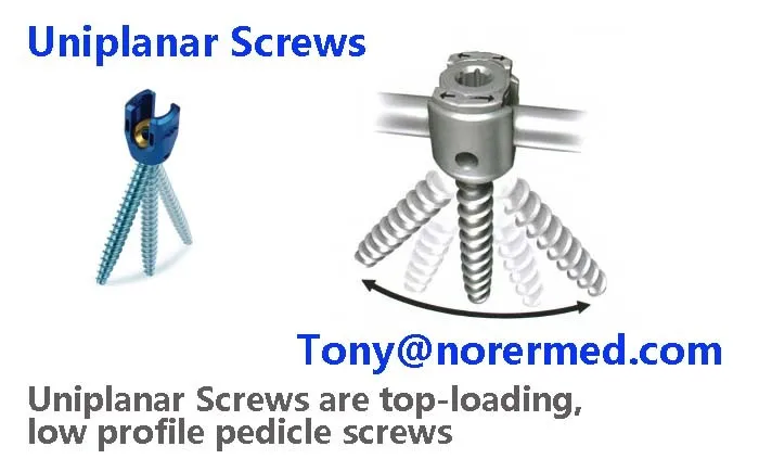 Orthopedic Titanium Spine Uniplanar Pedicle Screw for Human and ...