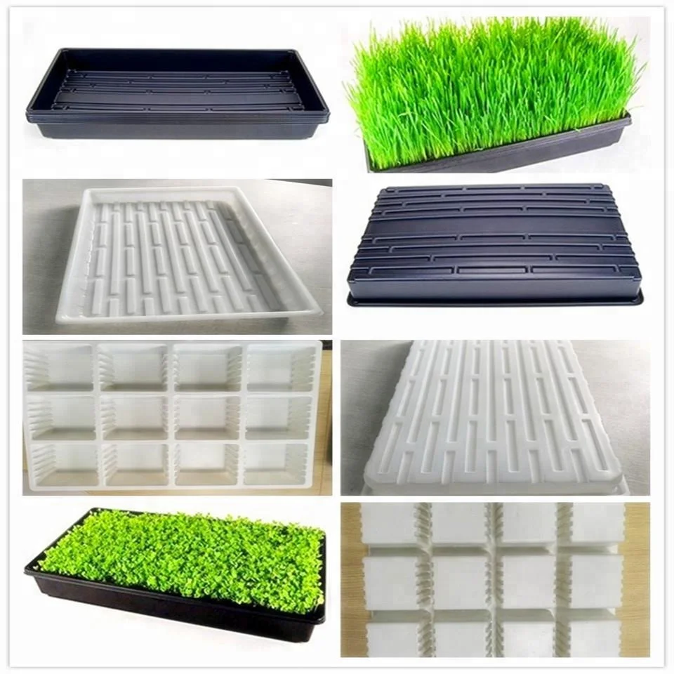 Super Sprouter Simple Start Cloning Kit - Propagation Tray