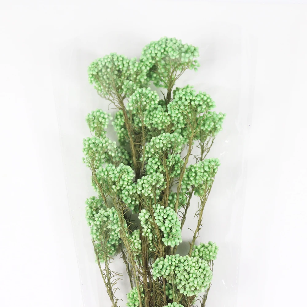 Ins Hot Sale Dried Flowers Bouquet With Material,Preserved Rice Flowers ...