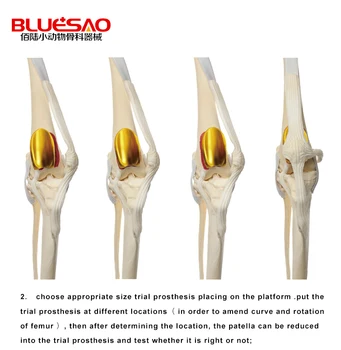 Patellar Groove Replacement System Reference Pictures Pet Orthopedic ...