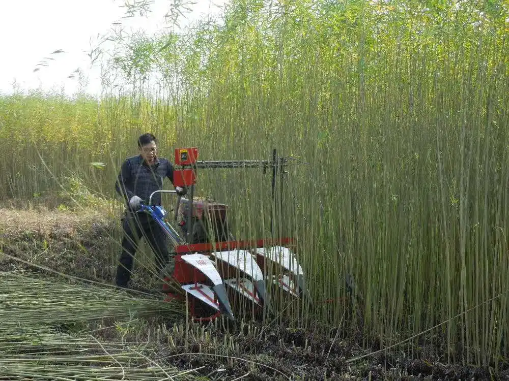 Tractor Front Mounted Multi-function Reaper Harvester And Cutter-rower ...