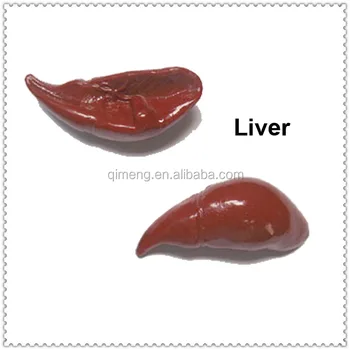 Fake Sticky Livers Body Parts For Props Collection Or Decoration ...