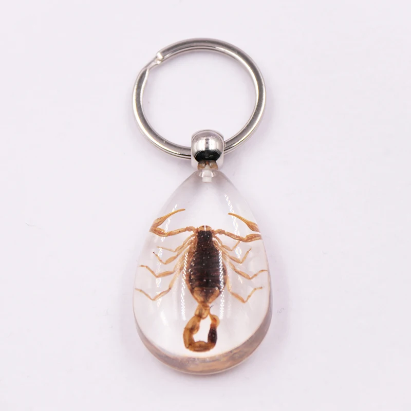 Fashion Design Yellow Scorpion Key Chain Transparent Tear Drop Resin ...