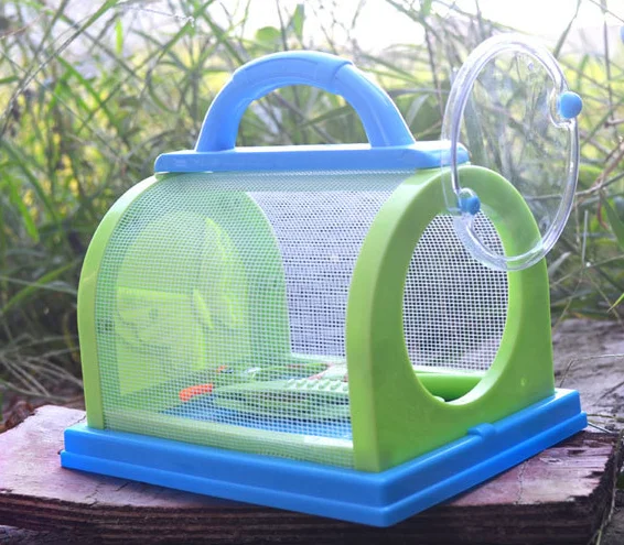 Children's Insect Box; Insect Rearing Cage For Outdoor Scientific ...