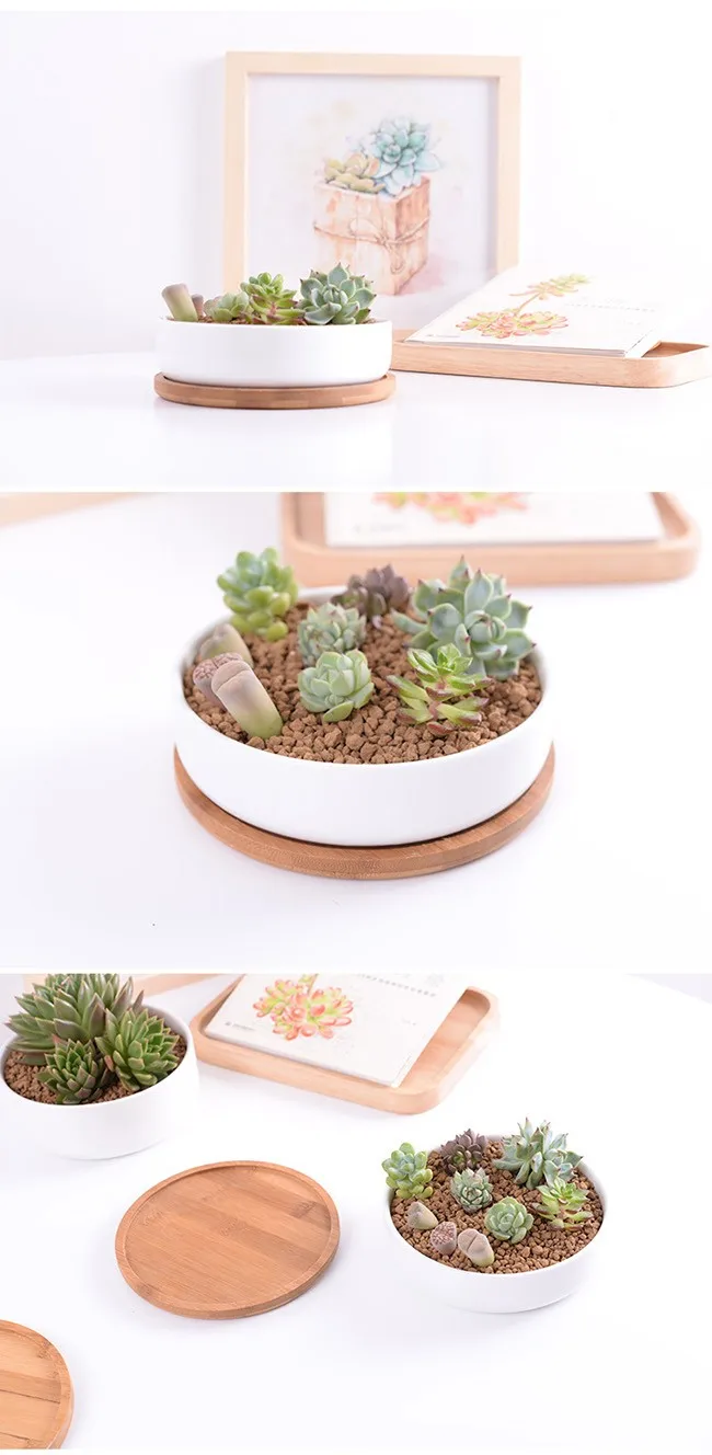 Creative 6 Inch Round White Ceramic Shallow Flower Pot With Tray For ...