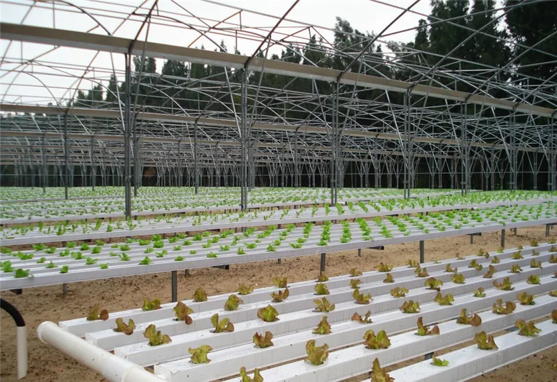 Large Plastic Agricultural Soilless Cultivation Growing Tray Strawberry ...