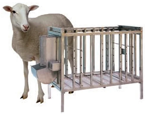 Sc1 Stainless Steel Animal Cages For Lab Sheep Cage - Buy Stainless ...