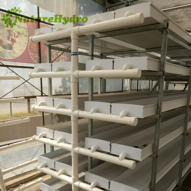 Hydroponic Fodder System/barley/oats/alfalfa Microgreen Growing System ...