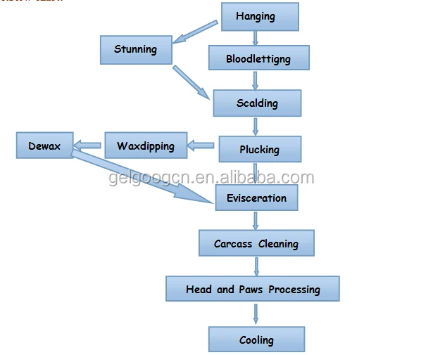High Productivity Poultry Slaughtering Equipment - GELGOOG