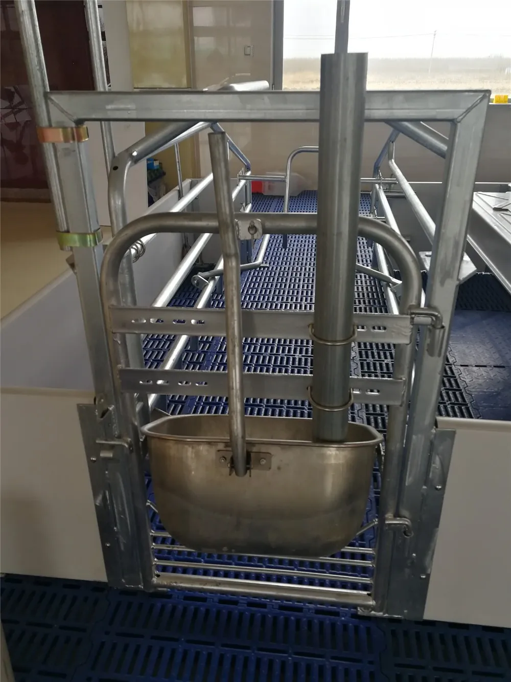 Hot Sale Pig Farming Equipment/ Farrowing Crate With Round-type Sow ...