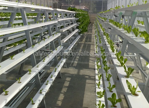 Hydroponic Pvc Pipe Plastic Nft Tubes Grow Channel Systems - Buy Pvc ...