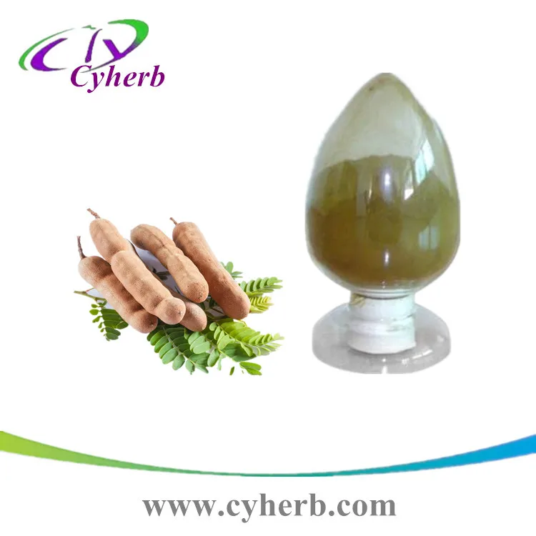 Natural Tamarind Powder Tamarindus Indica/tamarind Seed Extract10:1 ...