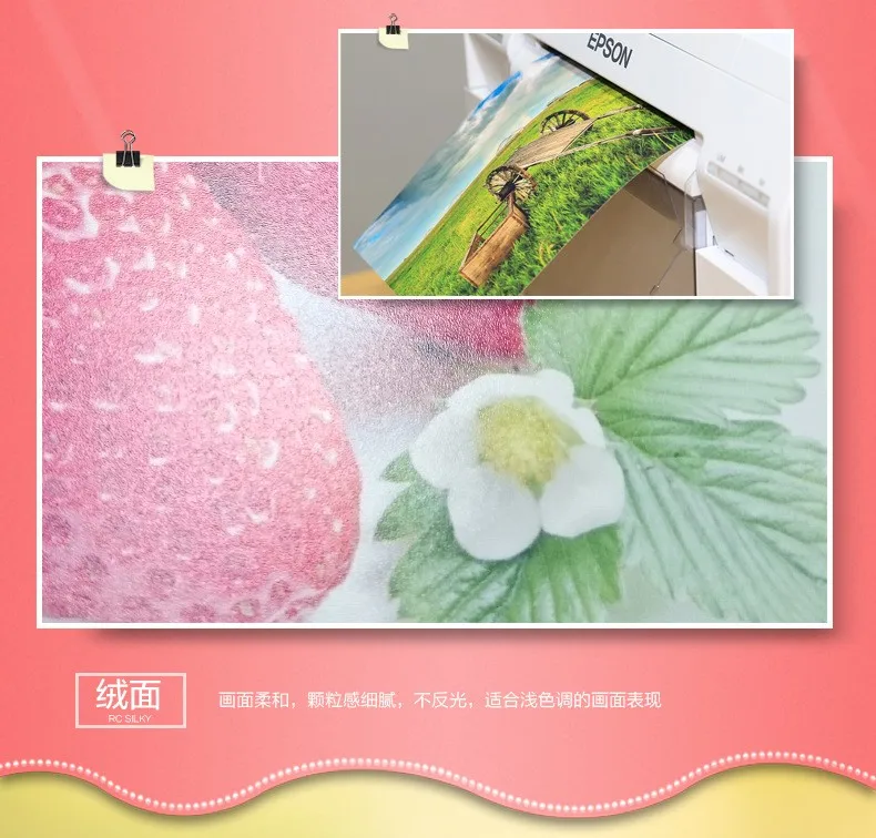 8" Noritsu Mini Lab Rc Roll Glossy Photo Paper ( 6r/8r) - Buy Noritsu ...