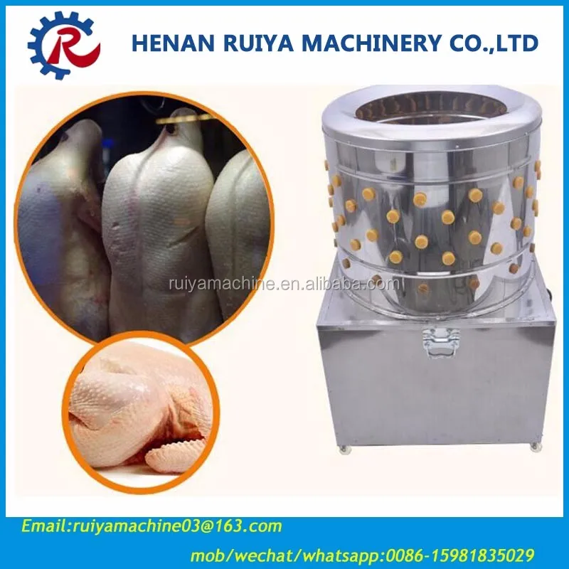 Immersion & Scalding Machine Used For Poultry Scalding Before ...