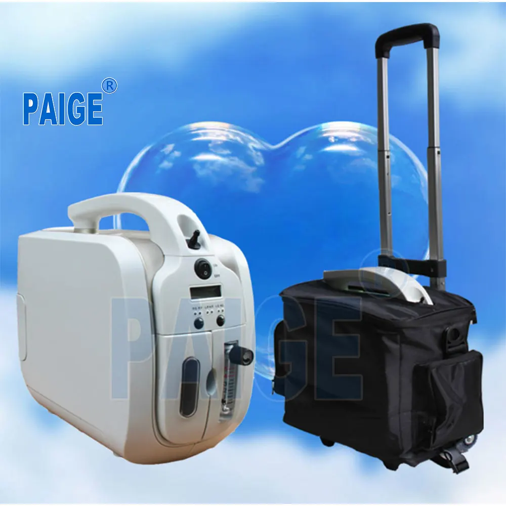 1l/min Vehicle Mounted Portable Oxygen Concentrator - Buy Portable ...