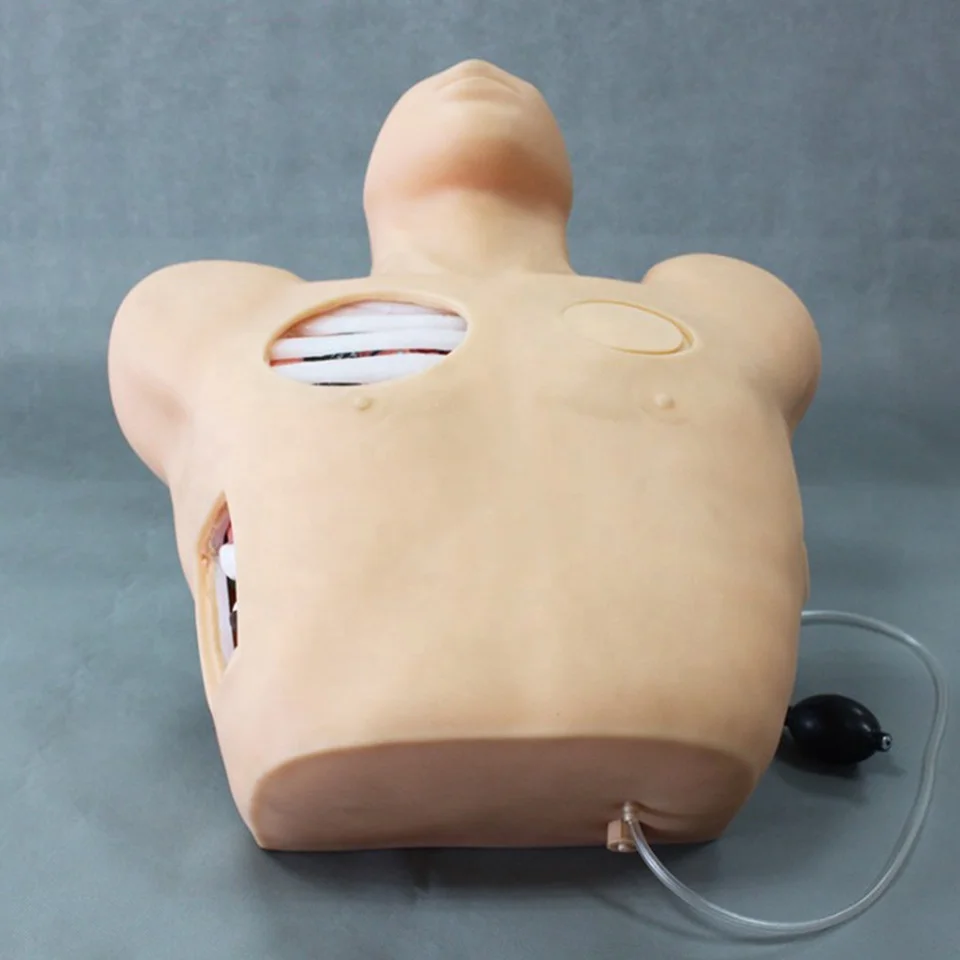 Thoracentesis Drainage Models,Medical Teaching Models - Buy High ...