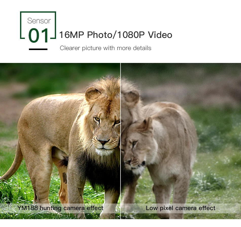 Hd 1080p 12mp No Glow Waterproof Digital Thermal Trail Hunting Camera ...