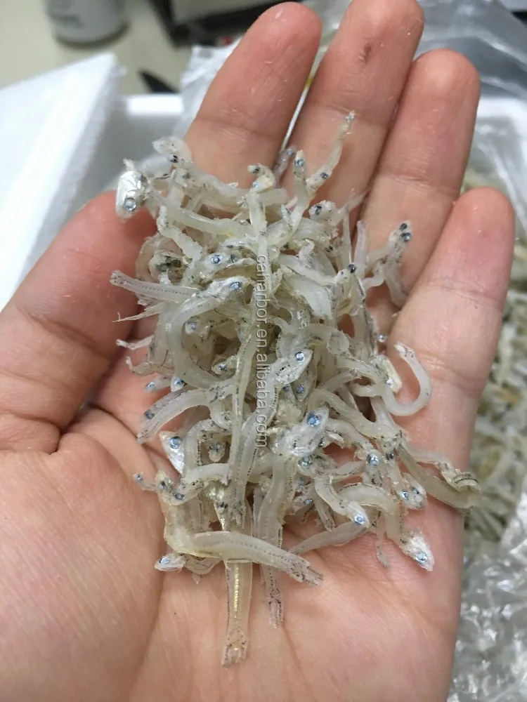 Boiled Dried Baby Anchovy White Anchovy Dry Sprats - Buy Boiled Dried ...