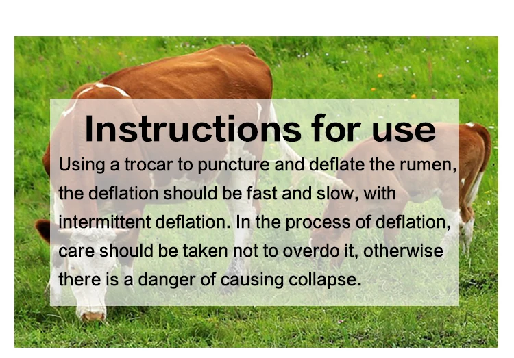 Veterinary Stainless Steel Needle Tube Cow Venting Needle Cattle Tumor ...