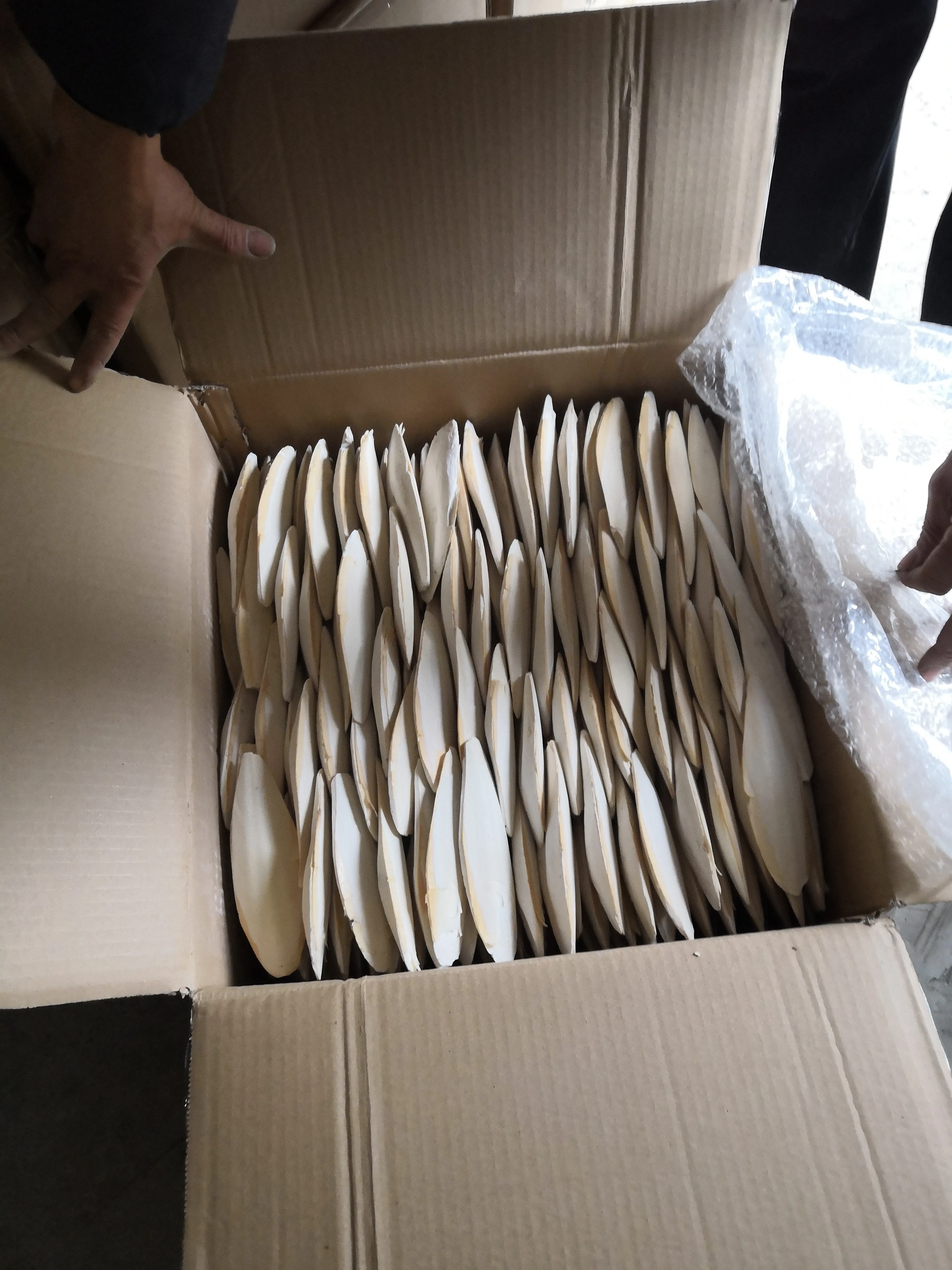 Fresh Bulk Pack Blister Top Grade Cuttlefish Bone 5'' Size For Birds ...