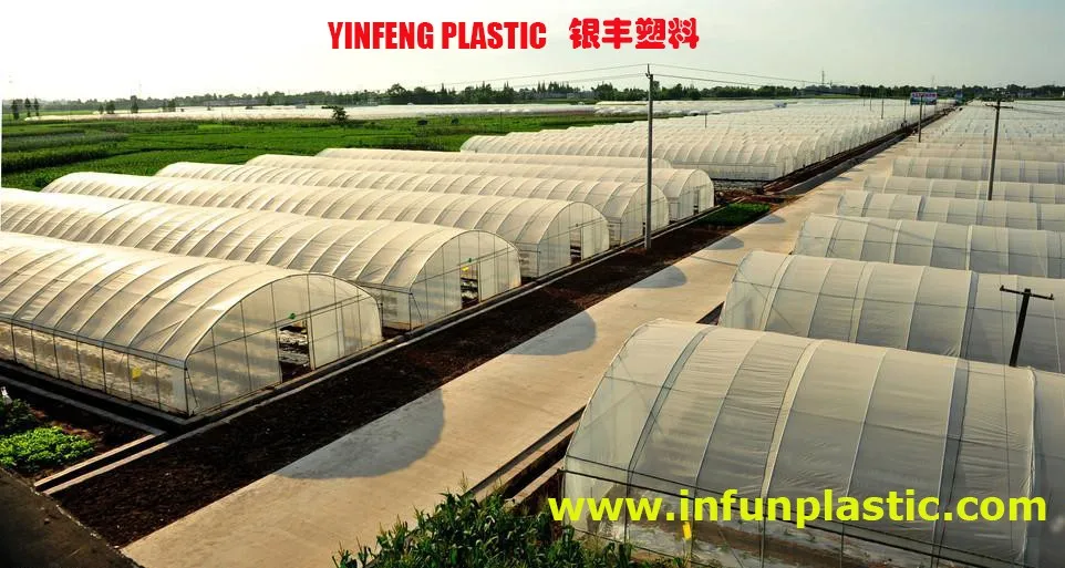 200 Micron Clear Plastic Greenhouse Cover Uv Resistant Plastic Rolls ...