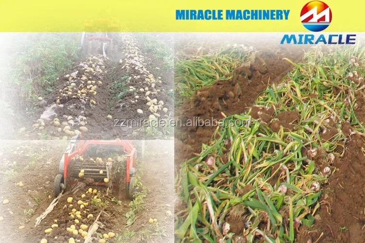 Top Sale Garlic Harvester,Small Harvester Garlic,Fresh Garlic Process ...