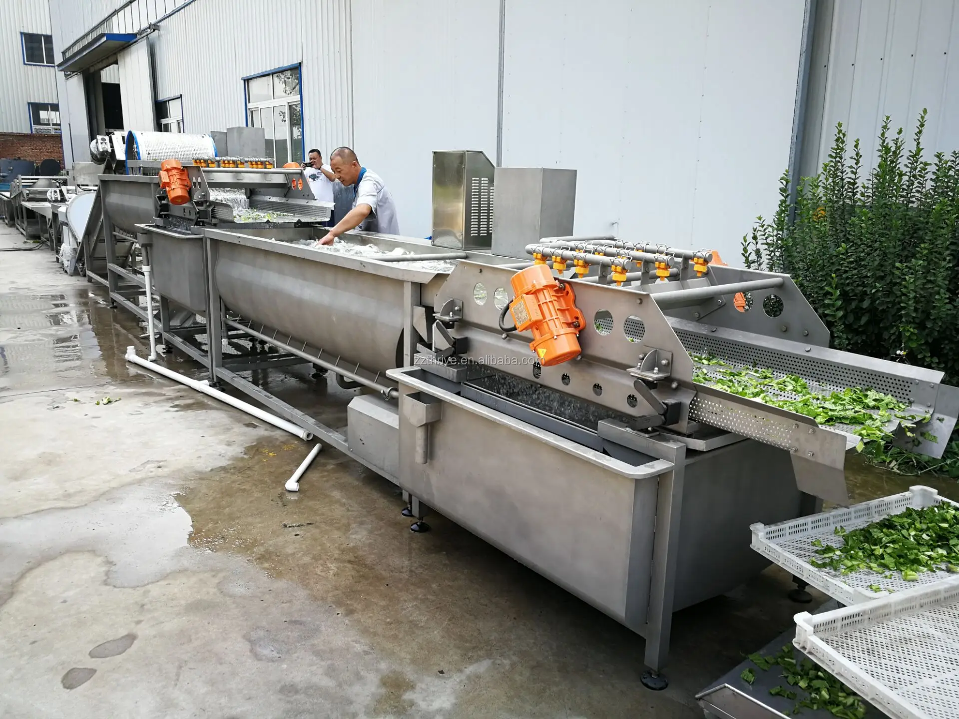 Professional Raisin Grape Washing Drying Processing Machine - Buy ...