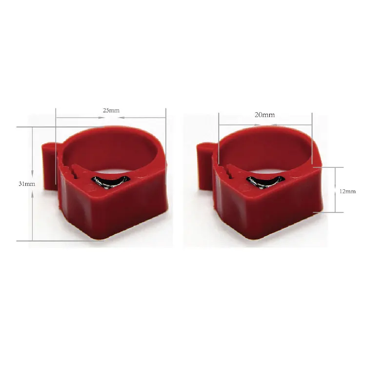 RFID Animal Tags - Customized ID Collars for Pigeons & Birds